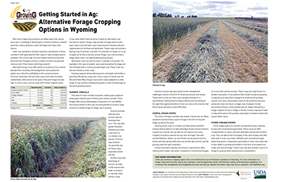 Getting Started in Ag: Alternative Forage Cropping Options in Wyoming | RightRisk.org/News